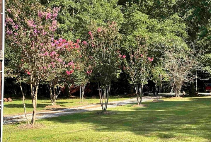 A Private & Cozy Stay - Greer, SC