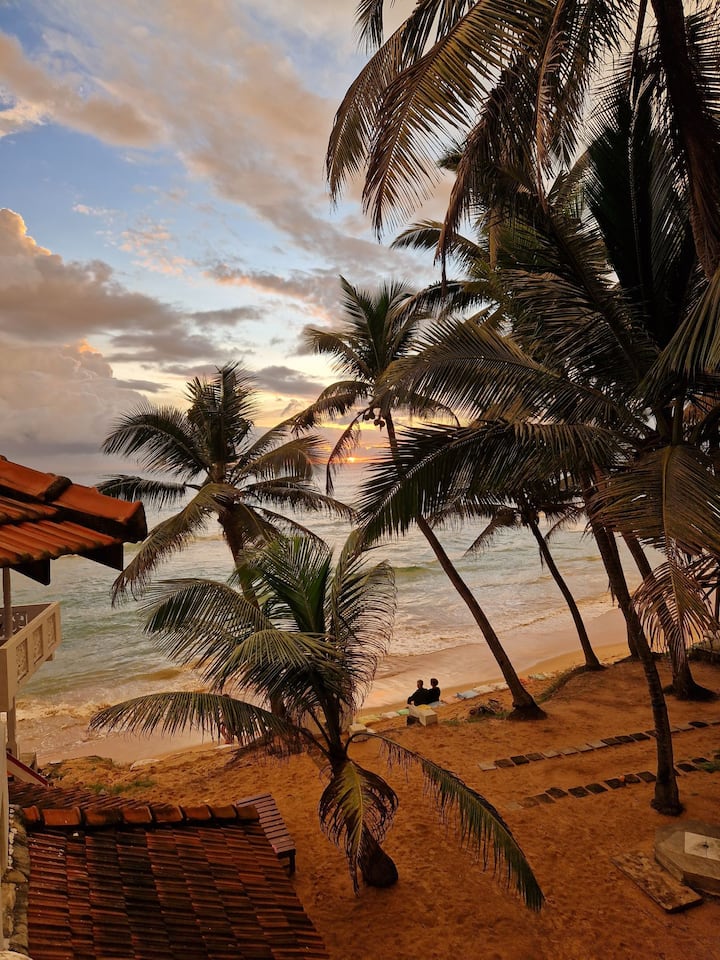 Palm Tree View - Lions Inn - Sri Lanka