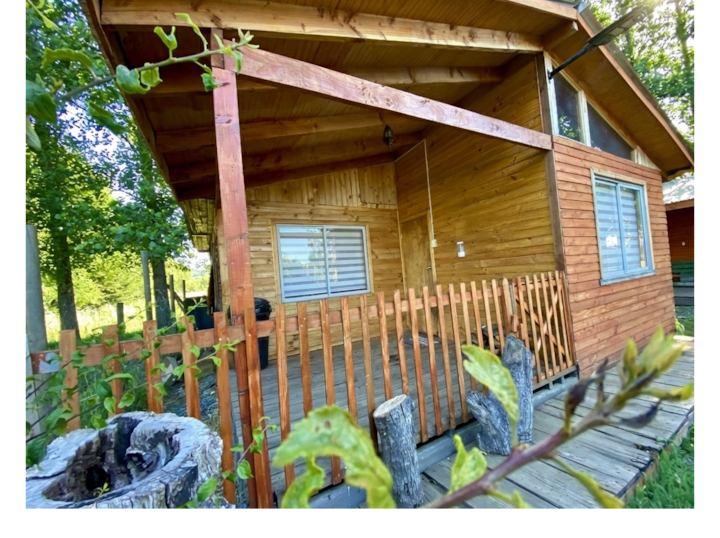 Cabañas Ecosur - Chile - Curacautin