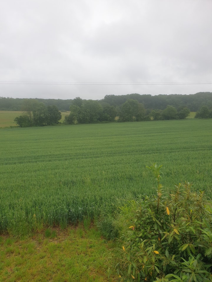 Appartement Dans Une Maison - Château-Thierry