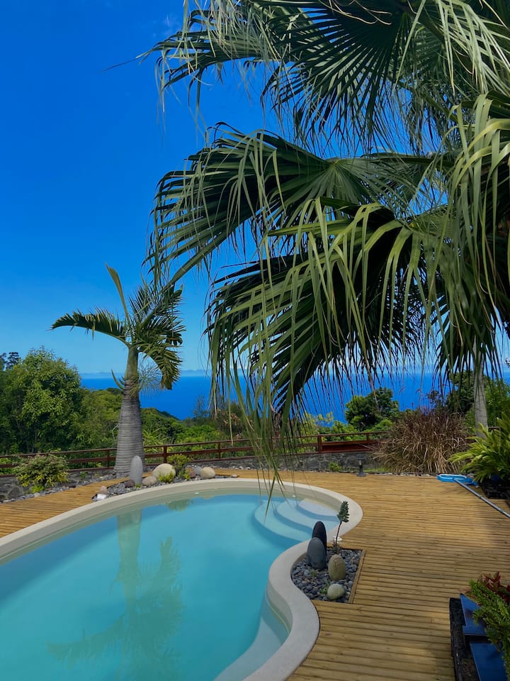 L’oasis Saint Bernard à La Réunion - Saint-Denis, La Réunion