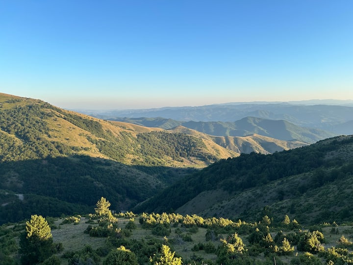 Kings Gardens Nika - Kopaonik