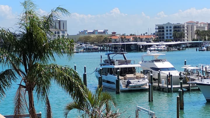 Pristine, 4m Walk To The Beach, Boat Dock, Parking - Clearwater, FL
