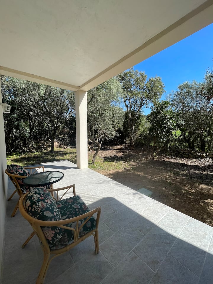 Charmante Maison Avec Grand Jardin - Figari