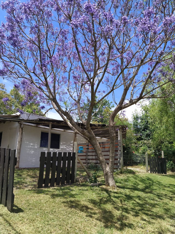 Dúplex, Excelente Ubicación. - Pan de Azucar