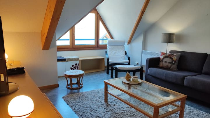 Charmant Appartement éTé/hiver - Loudenvielle
