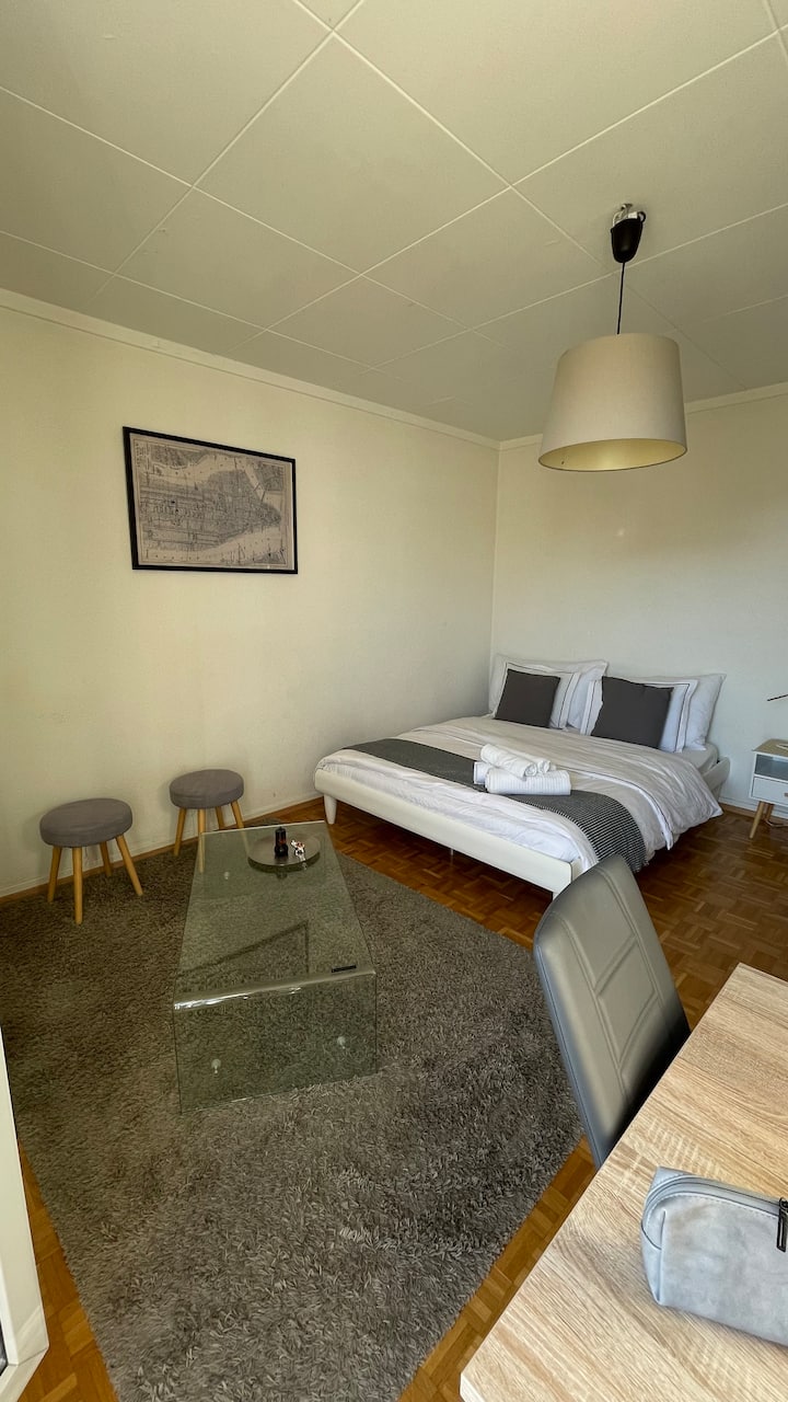 Studio à 2 Min De Lausanne Gare - Lausanne