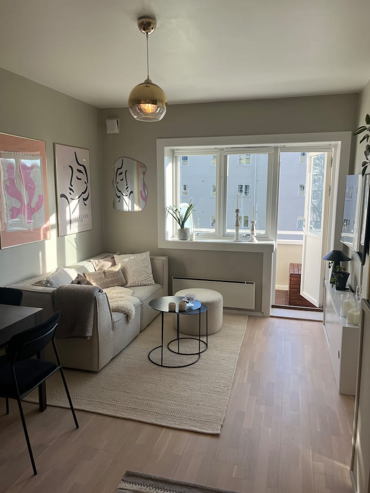 Koselig Leilighet På Sagene! - Oslo