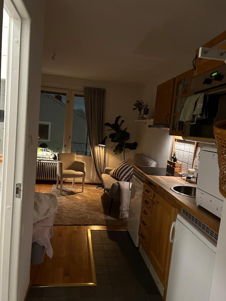 Lägenhet I Stockholm 15 Min Från City ! - Stockholm