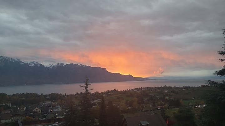 Villa Escondida - Vevey