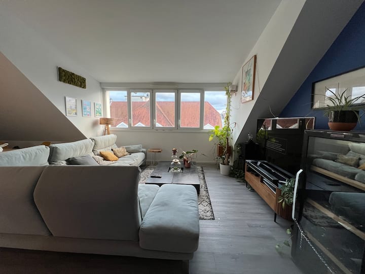 Appartement Centre Vue Cathédrale - Strasbourg