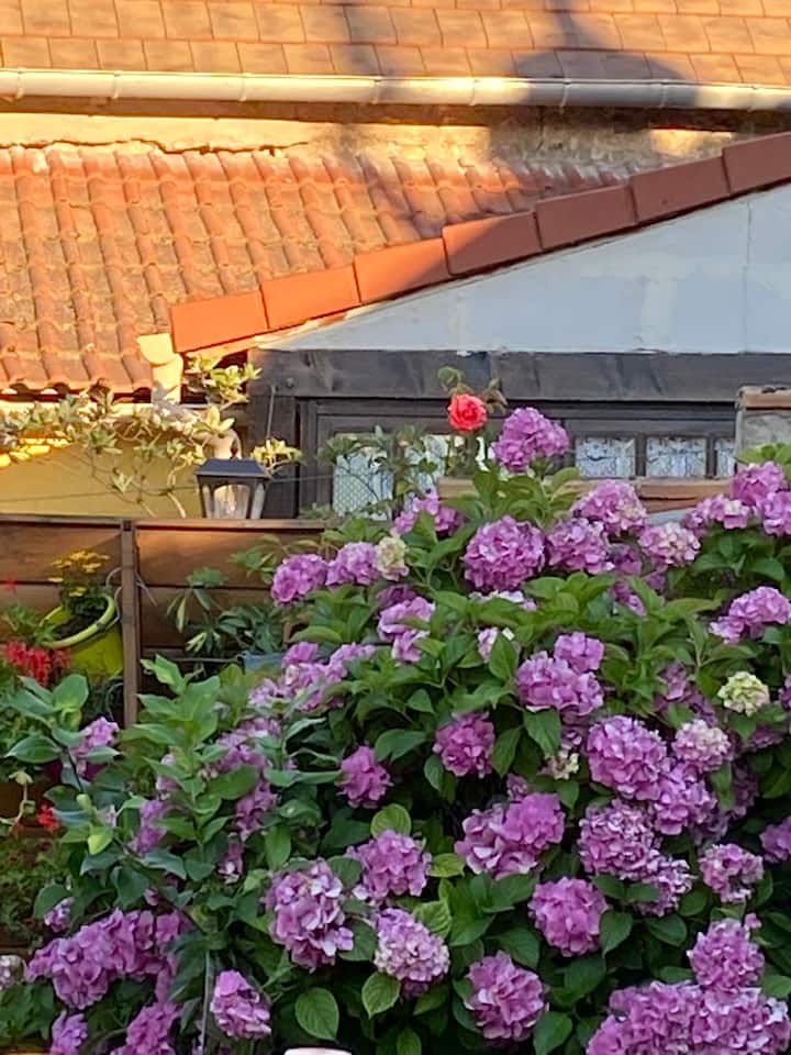 Maisonnette Au Bord De L’eau 3* - Saint-Amand-Montrond