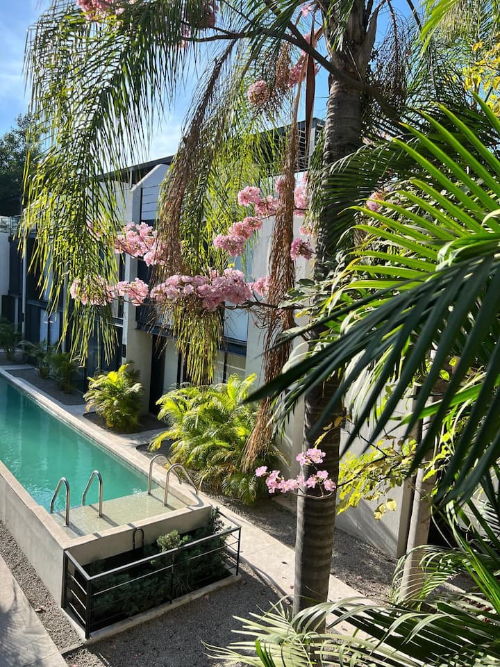 Th 111 Est Une Piece Sur Top Localization Ac, Roof - Cuernavaca