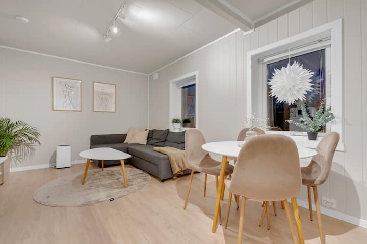 Perfect For Northern Lights - Norway