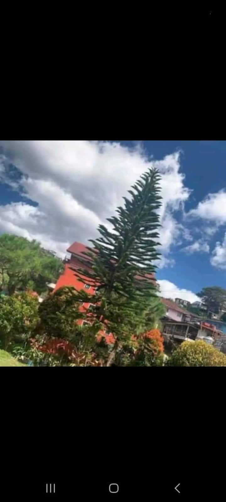 Homey, Affordable Baguio House W/ Cooking - 碧瑤市