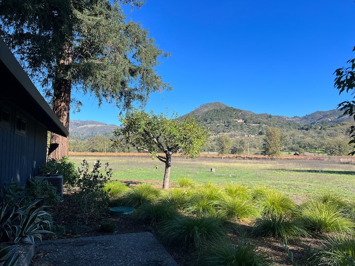 Quiet Cottage, 3br/2ba W/ Views - Napa Valley