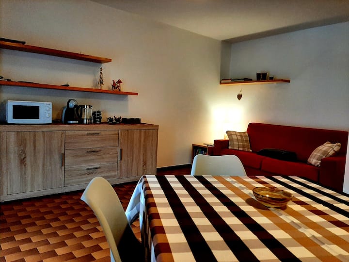 Spacious One Bedroom Apartment - Chiesa in Valmalenco