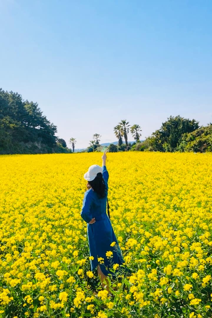 봄제주여행특가 *마당이쁜제주한옥*영화드라마촬영지* 우도여행 *Welcomjejuhanok* - 구좌읍