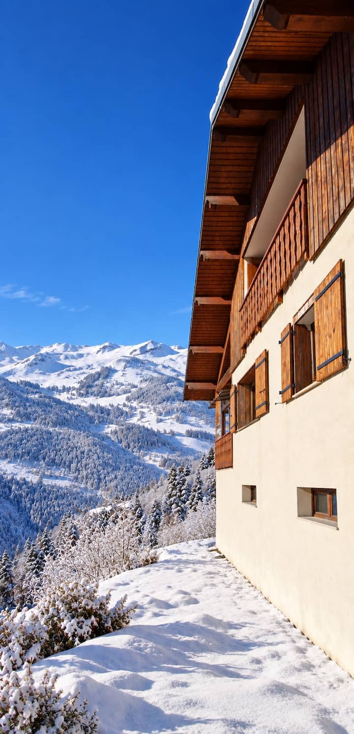 Chalet Le Panoramic 1300 - Proche La Plagne - Moutiers