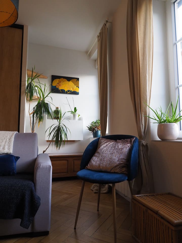 Confort, Calme Et Lumineux Proche Lyon - Villeurbanne