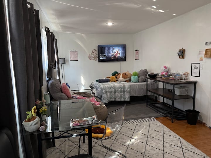 Sunny: Spacious M & L Wifi Netflix Ac Bushwick - Brooklyn, NY