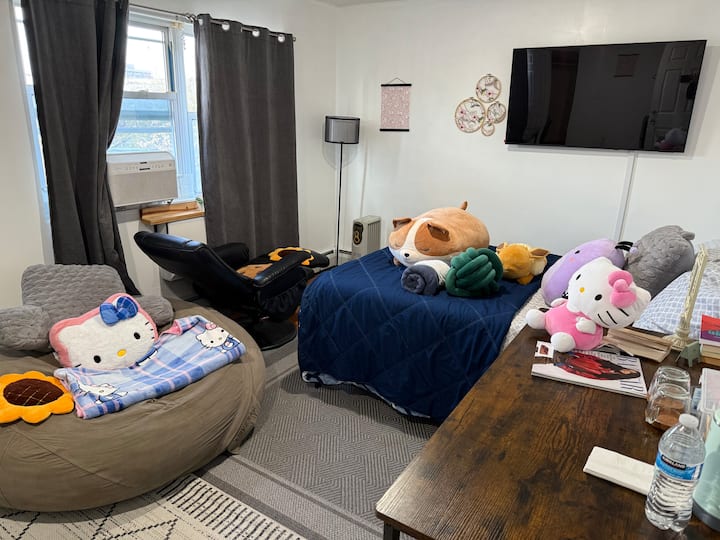 Sunny: Spacious M & L Wifi Netflix Williamsburg - Queens, NY