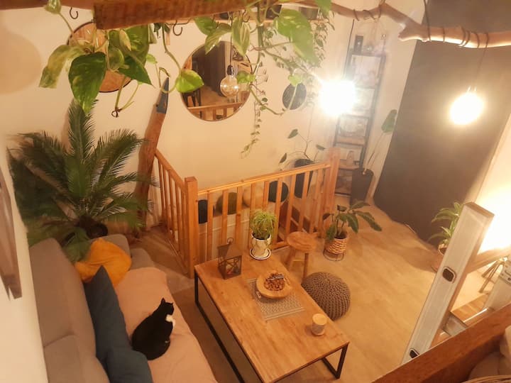 Appartement Triplex Atypique 44m - 