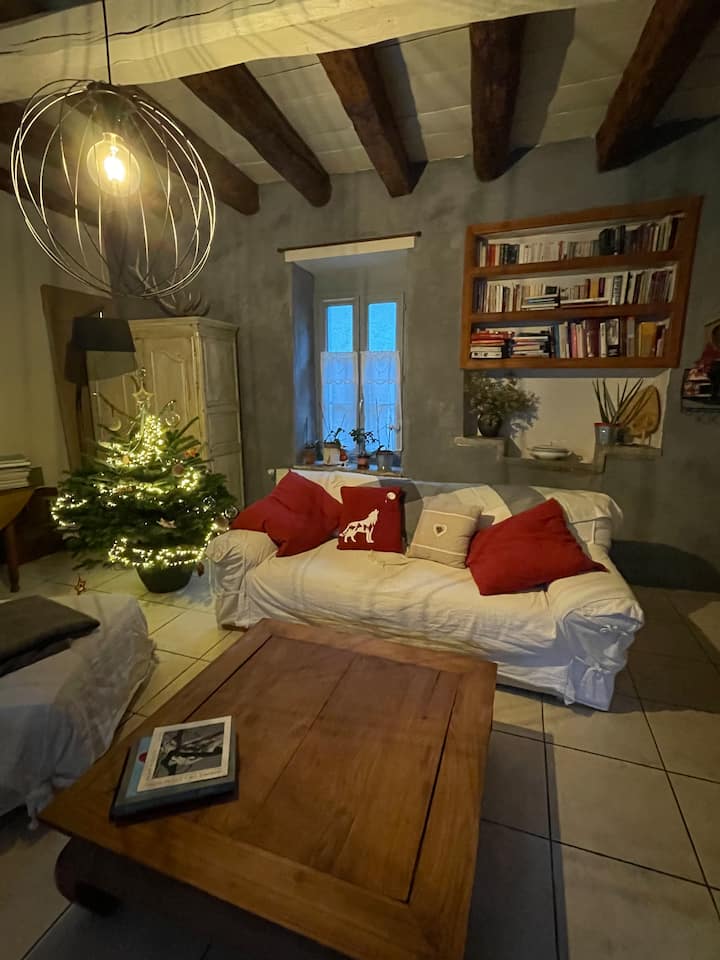 Maison De Village Pyrénéen - Campan