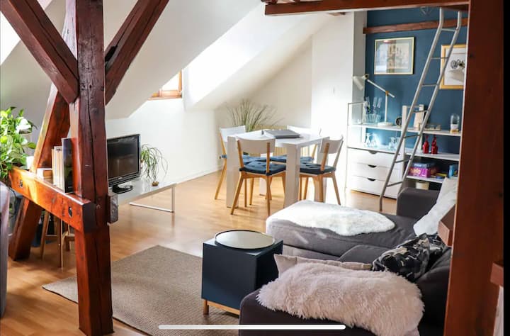 Appartement,  Plein Centre Tout Confort - Colmar