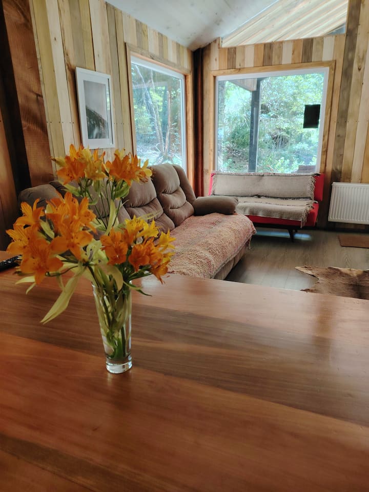 Refugio De Montaña Camino A Corralco - Curacautin