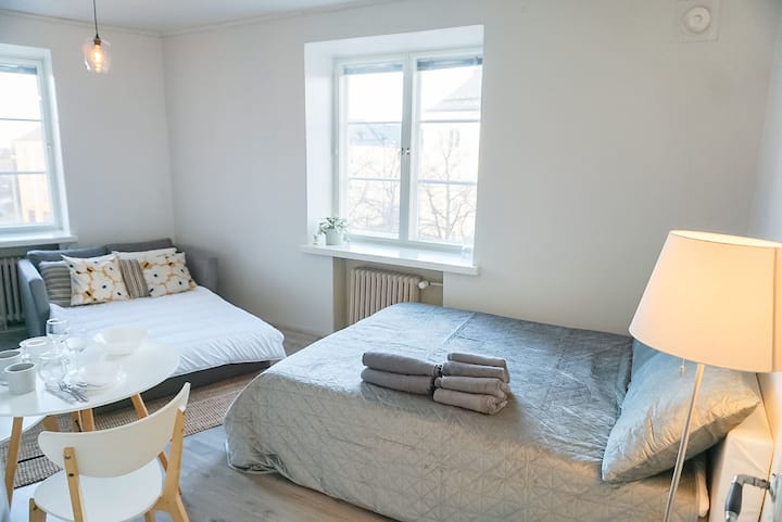 Cozy City Studio By A Tram Stop - Helsinki
