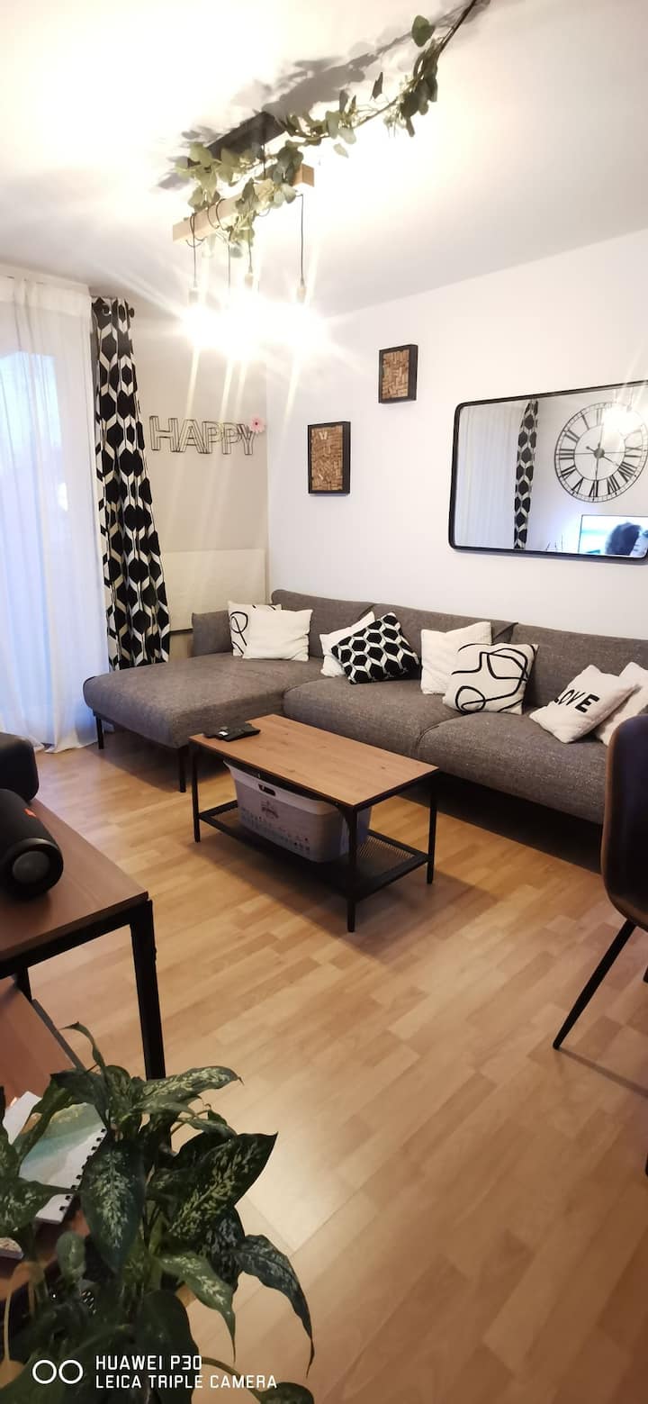 Appartement Proche De Strasbourg - Hœnheim