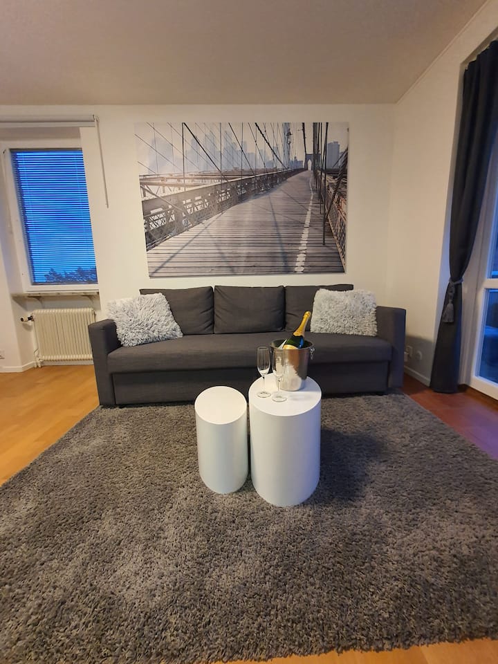 Nära T-banan. Vacker Och Mysigt! - Stockholm