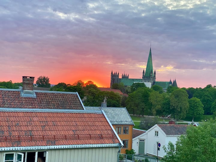 Leilighet Bakklandet Med Utsikt - Trondheim