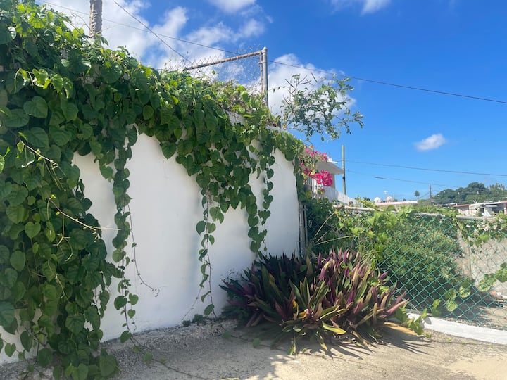 Surfers Affordable Spot! Camuy Mini - Camuy