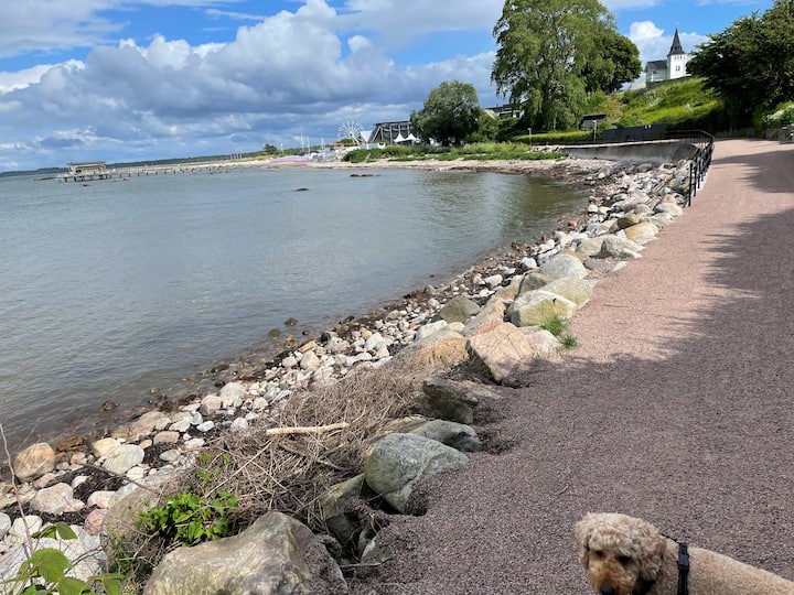 Central Lägenhet På Väster I Båstad - Båstad