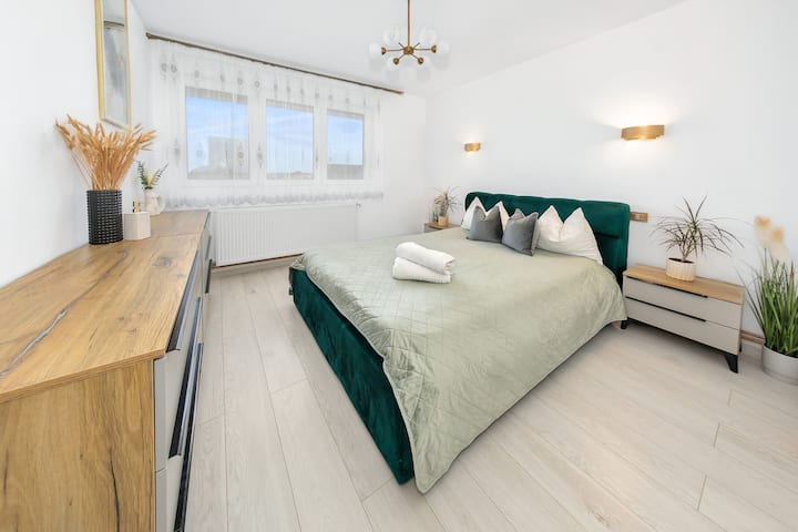 The Performant - Satu Mare