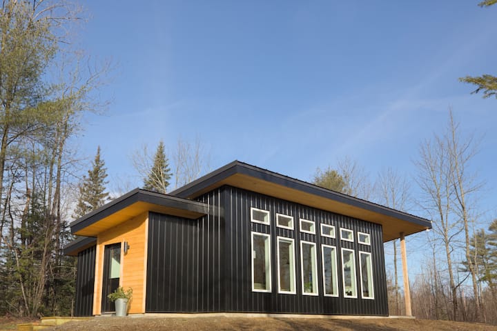 Forest Cabin With Wall Of Windows - Maine