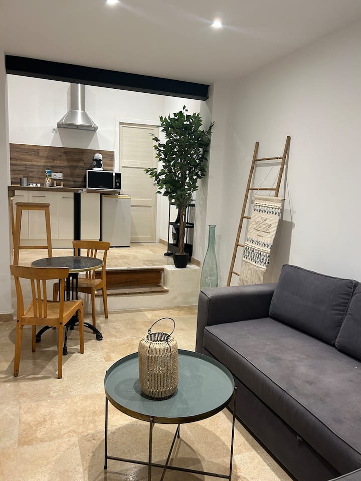 Logement Au Cœur Du Centre Ville - Arles