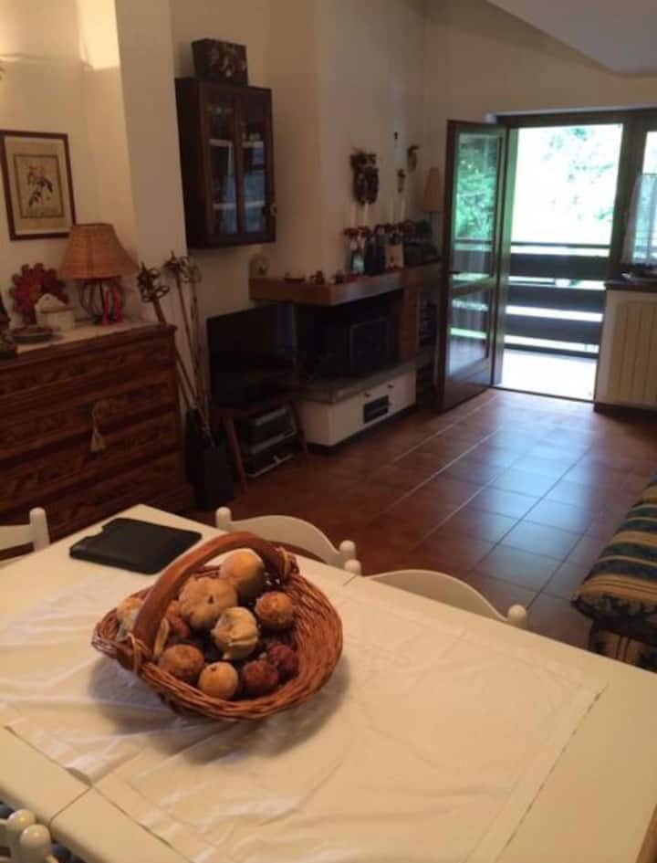 Corteno Golgi Relax Alpino Estate Ed Inverno - Edolo