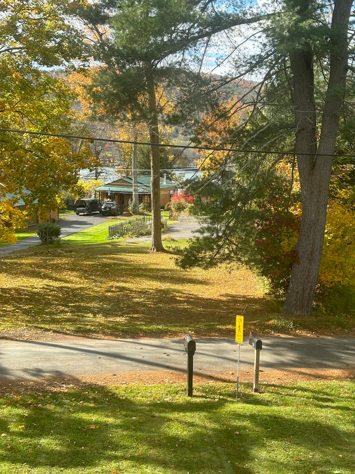 Diamond Shoreline Lakeside Home - Oneonta, NY