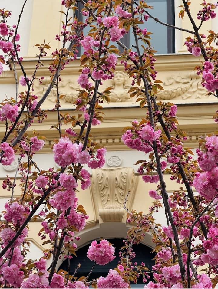Walk To Tesla Museum - Belgrado