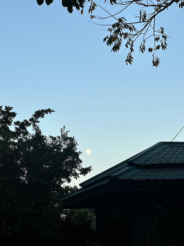 Deepairbnb Plus 林(訂房前請先詢問) - 타이동