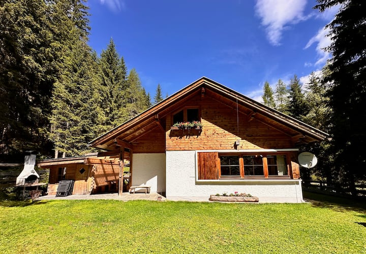 Cosy Cabin In The Alps - Austria