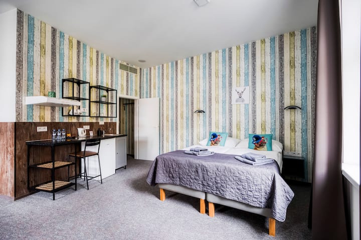 Spacious Apartment For 3 - Praga