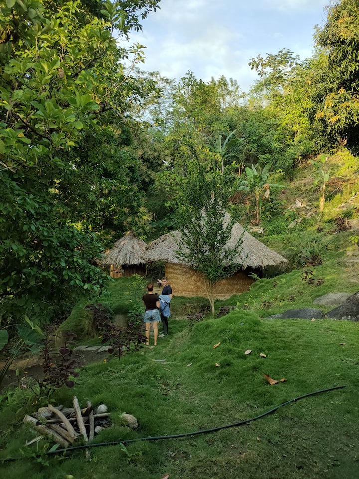 Hébergement Privé Dans La Jungle Avec Cascade! - Minca