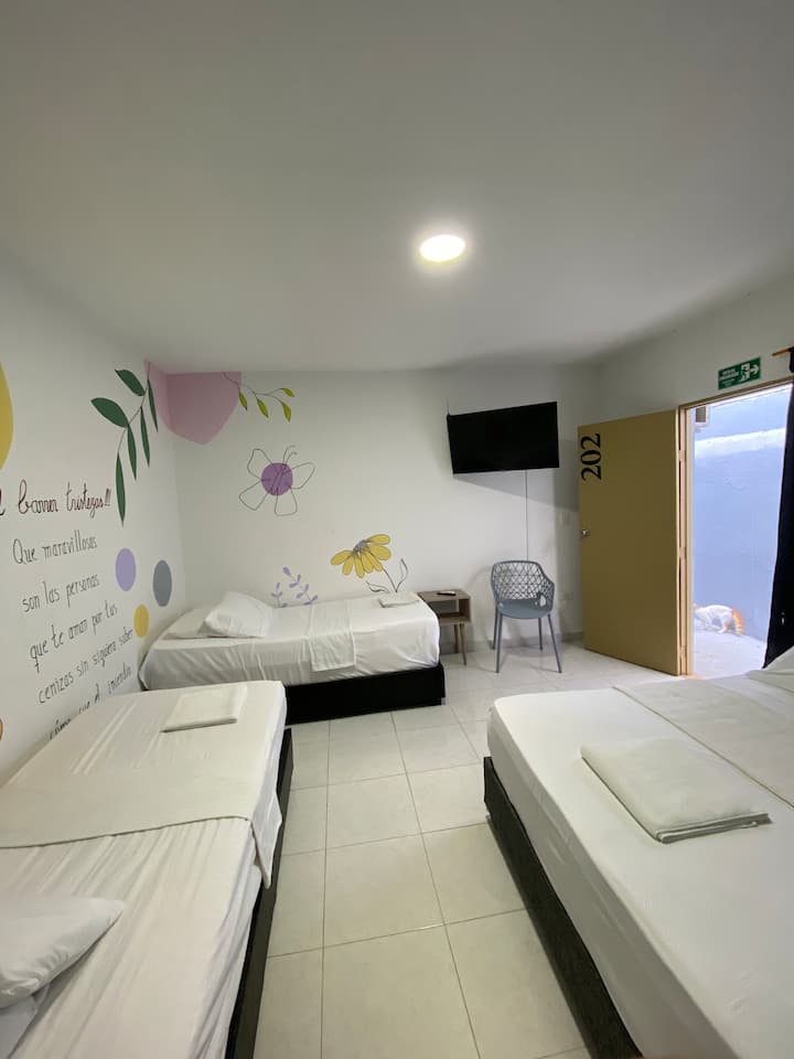 Suite 202 - Barranquilla