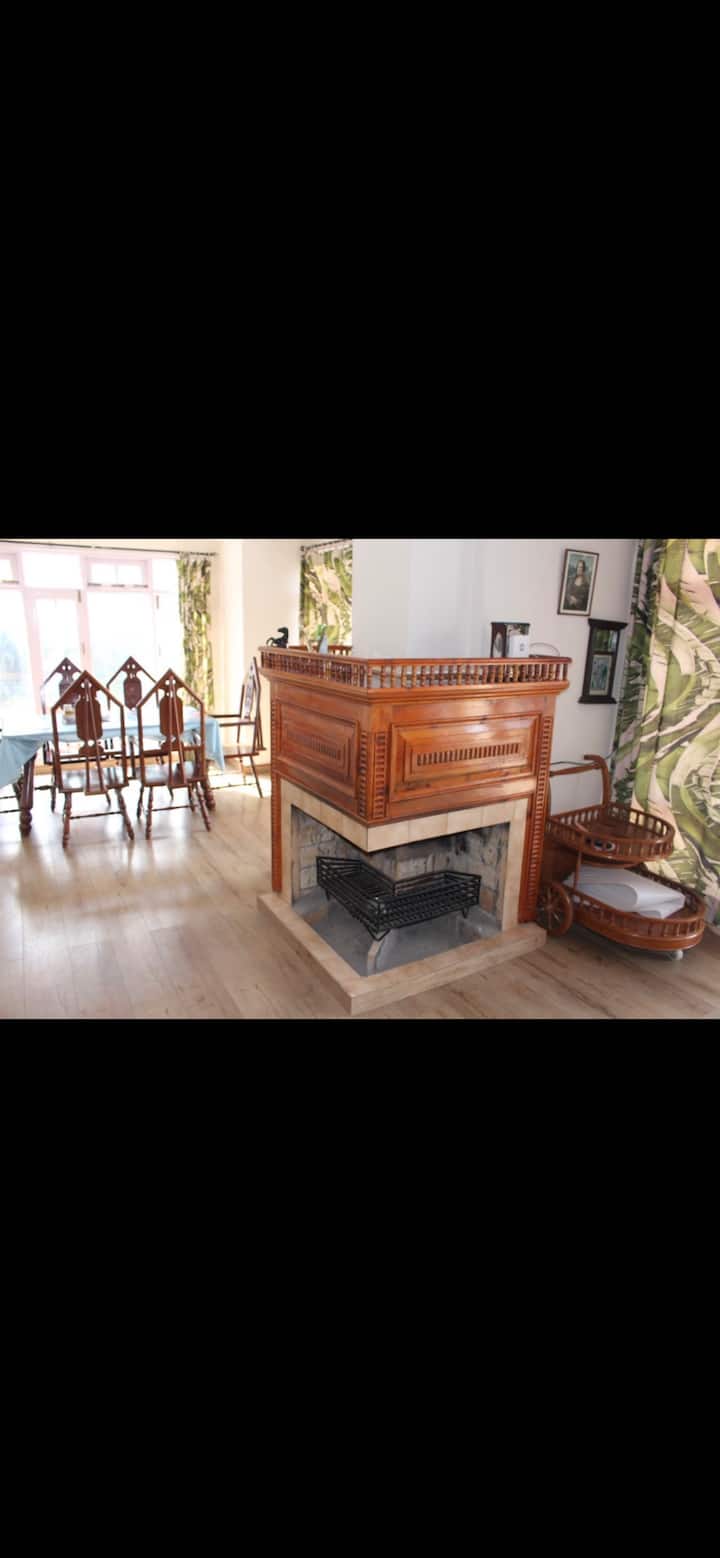 Swiss Cottage-qualityn Aesthetic Since 1995 - Shimla