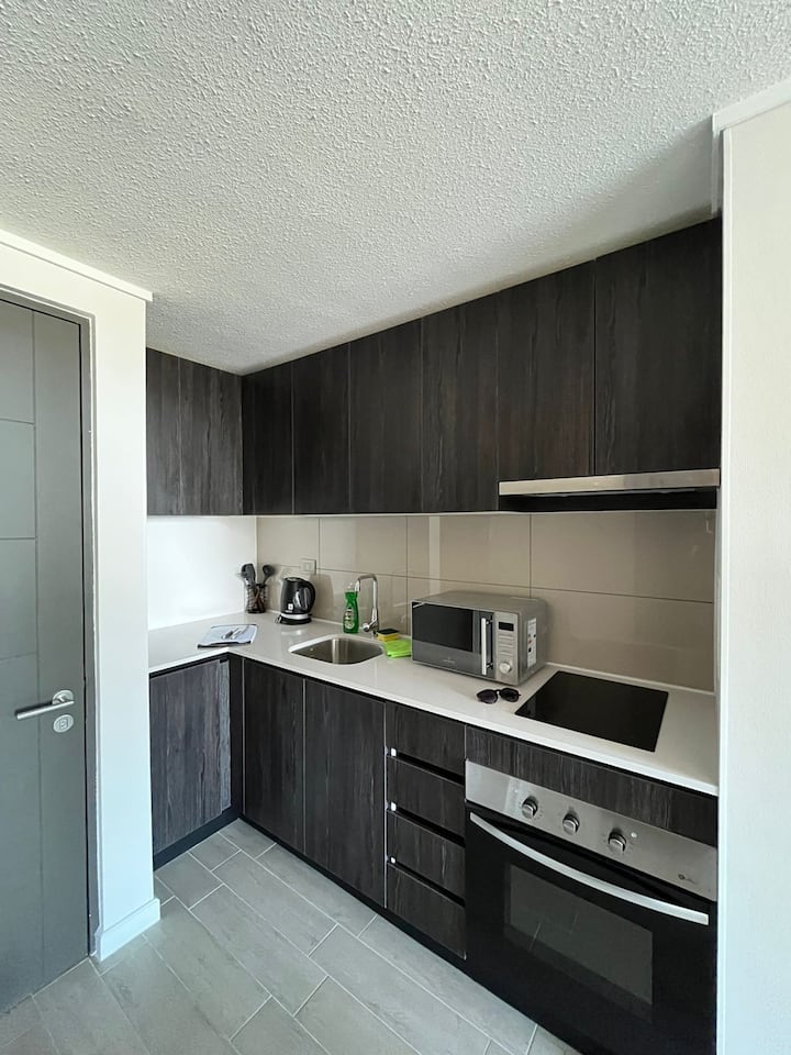 Apartamento Pasos Movistar Arena - Chile