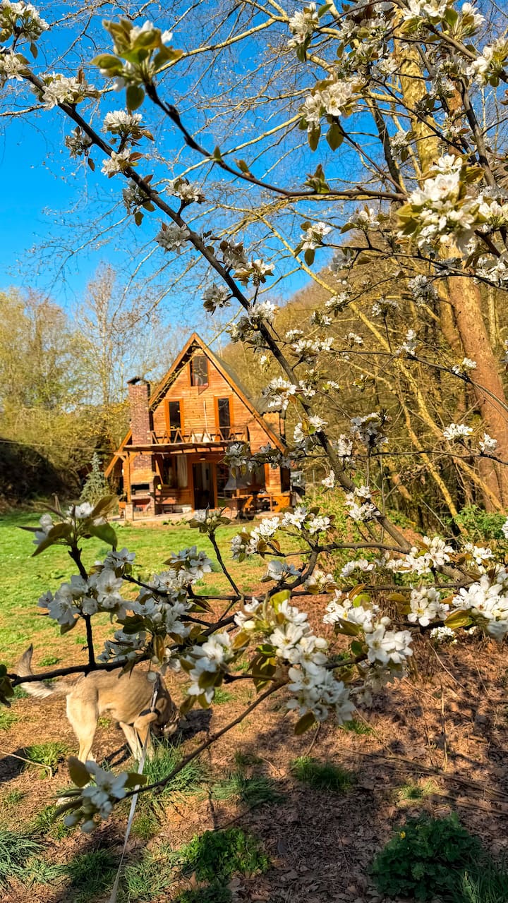 Cozy Cabin With Breathtaking River Views - Yalova